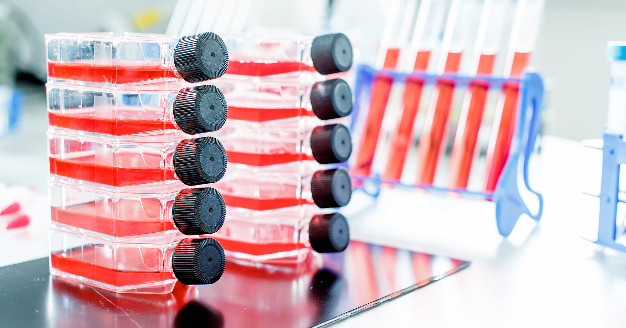 Innovative Salts for biopharma upstream - Dr. Paul Lohmann