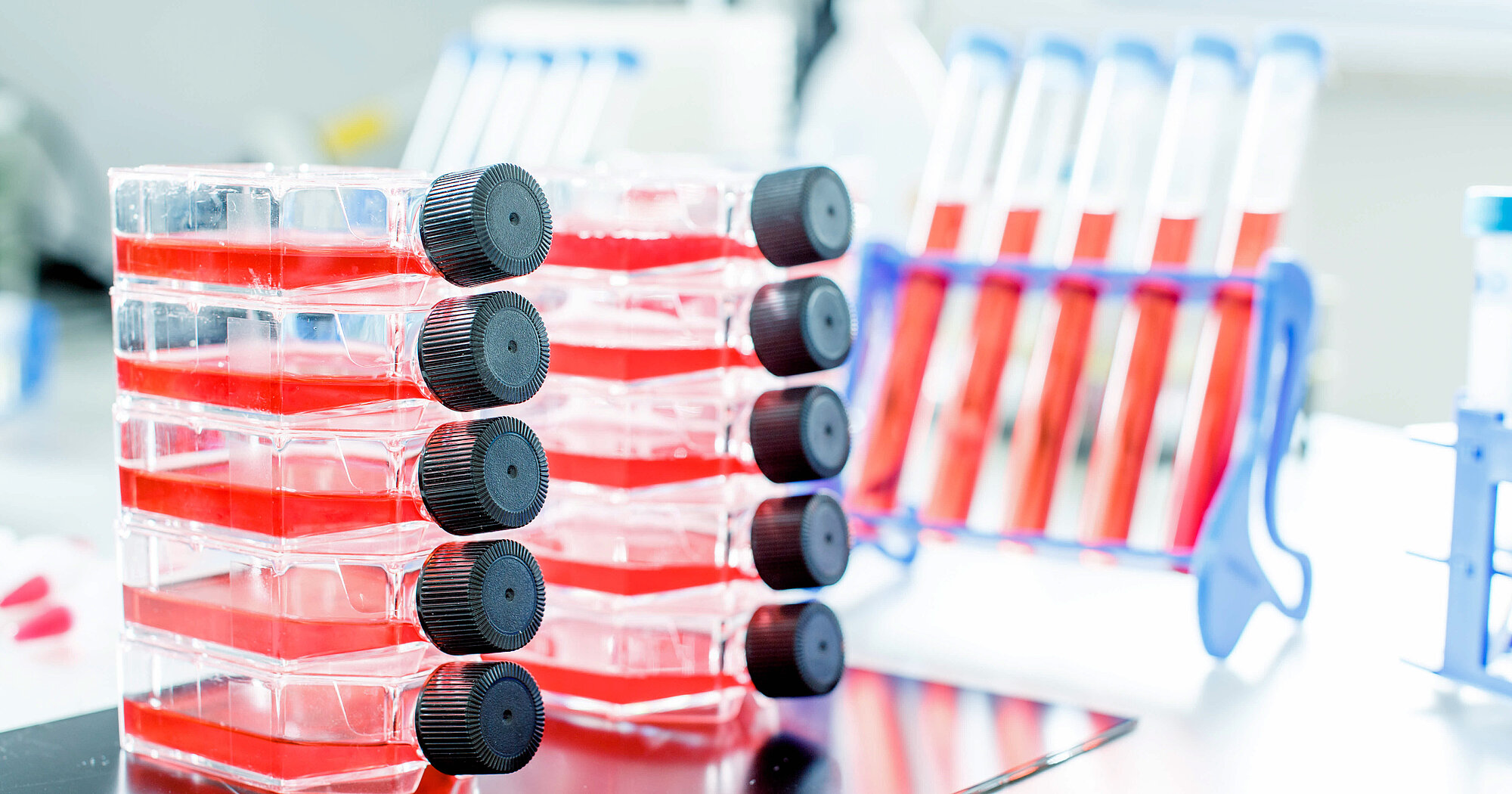 Sodium β-glycerophosphate 5-hydrate source for cell cultivation - Dr ...